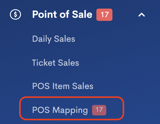 POS ITEM MAPPING