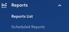 ITEM AUDIT REPORT